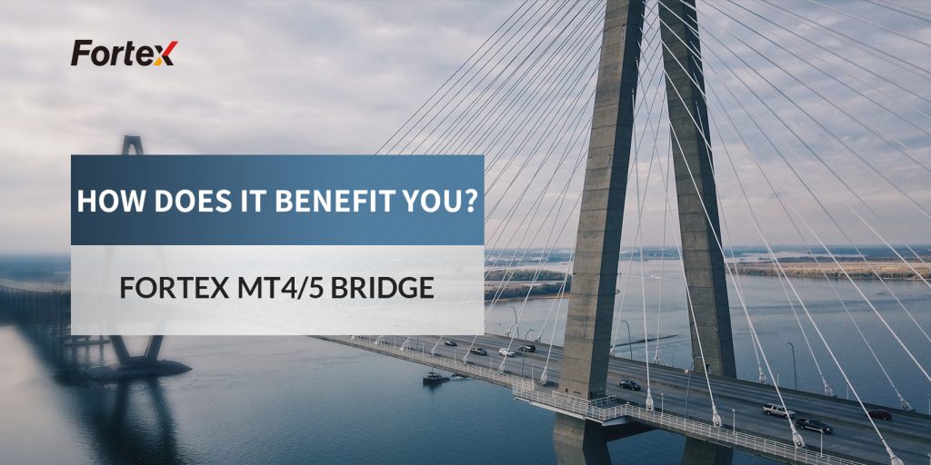 Fortex Blog | Insights and Perspective from a Team of FX Market Experts