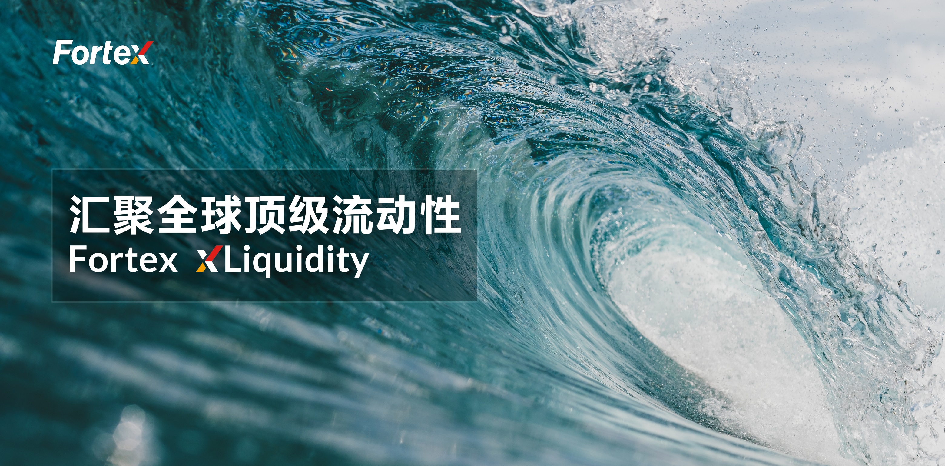 Fortex Blog | Insights and Perspective from a Team of FX Market Experts