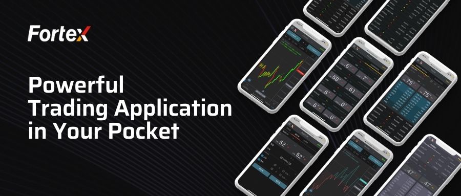 Fortex Blog | Insights and Perspective from a Team of FX Market Experts