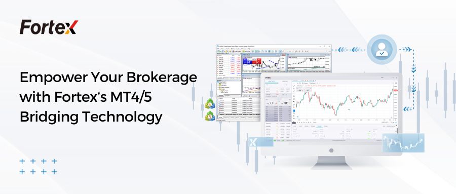 Fortex Blog | Insights and Perspective from a Team of FX Market Experts