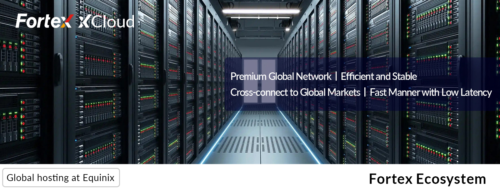 Fortex Ecosystem: For Better Performance | Fortex | The World's Leading ...